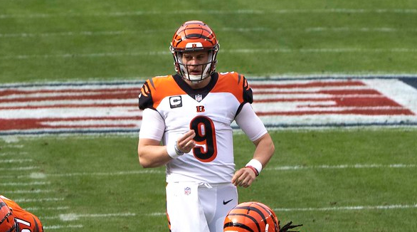 Bengals Name Captains for 2024 Season - Bengals Up North